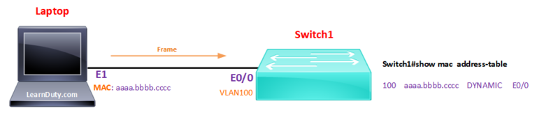 Dynamic Vs Static Mac Address Explained And Configuration Learn Duty