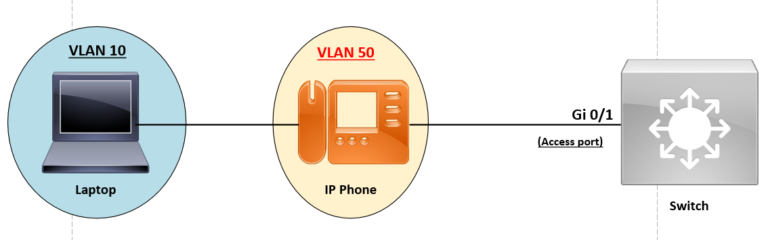 Voice VLAN Explained and Configuration (Step by Step Guide) - Learn Duty