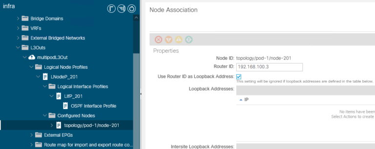 Cisco Aci Multi Pod Deployment Initial Configuration Learn Duty