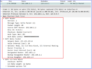 OSPF Header Format and Packets Types [Explained with Wireshark Captures ...
