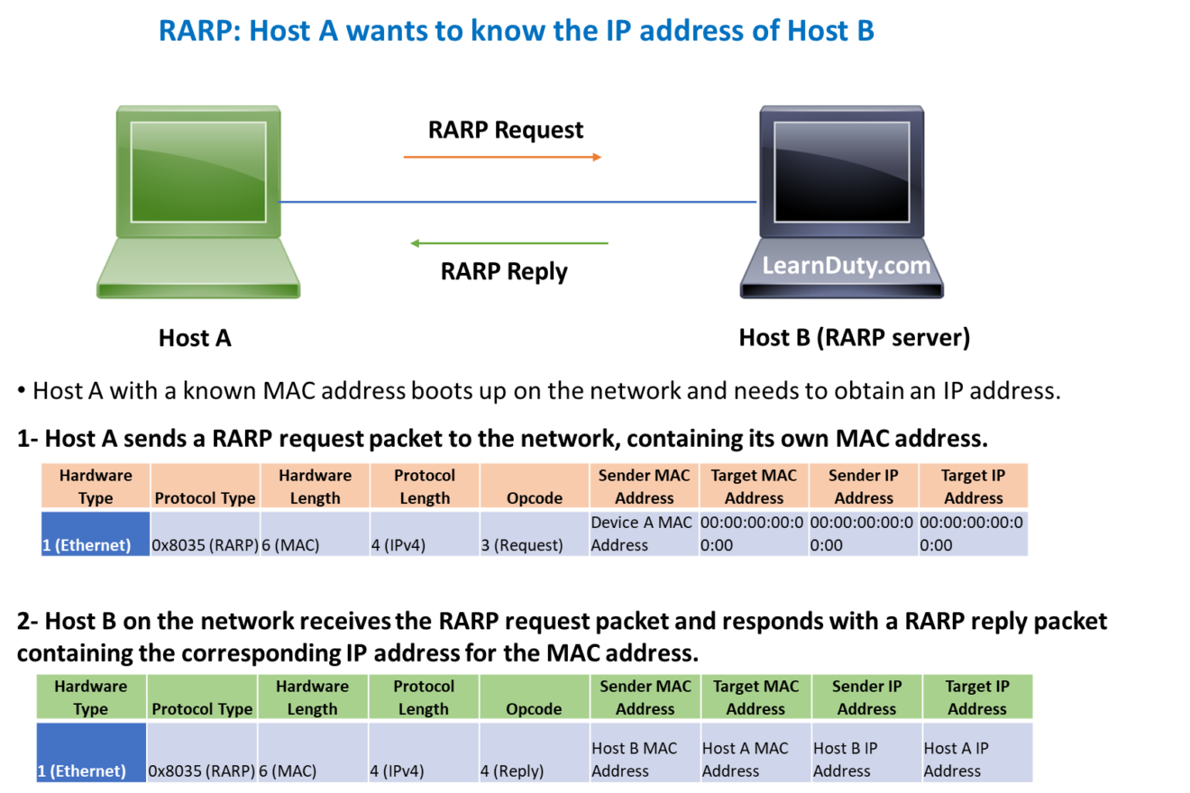 ARP vs GARP vs RARP Explained With Wireshark Capture and Examples ...