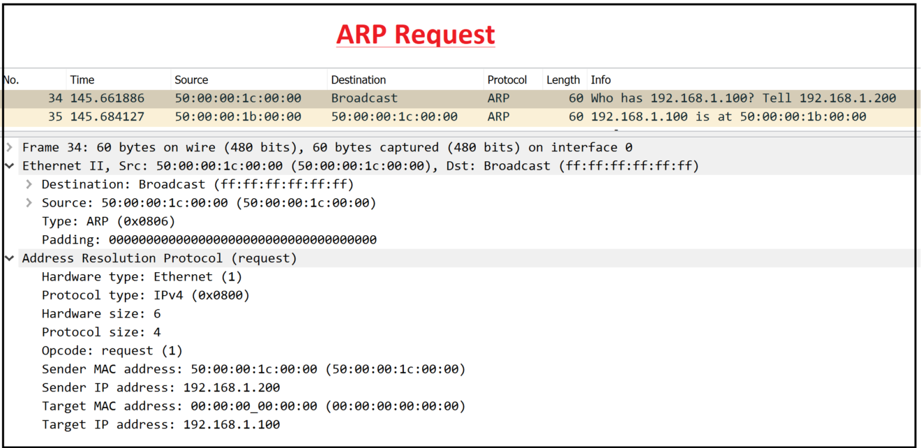 ARP vs GARP vs RARP Explained With Wireshark Capture and Examples - Learn Duty