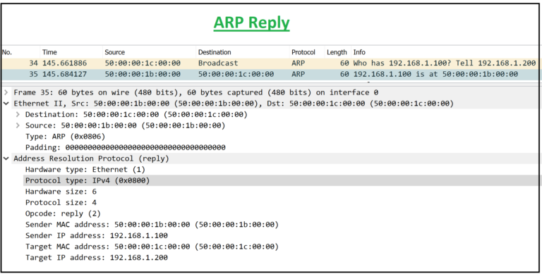 ARP vs GARP vs RARP Explained With Wireshark Capture and Examples ...
