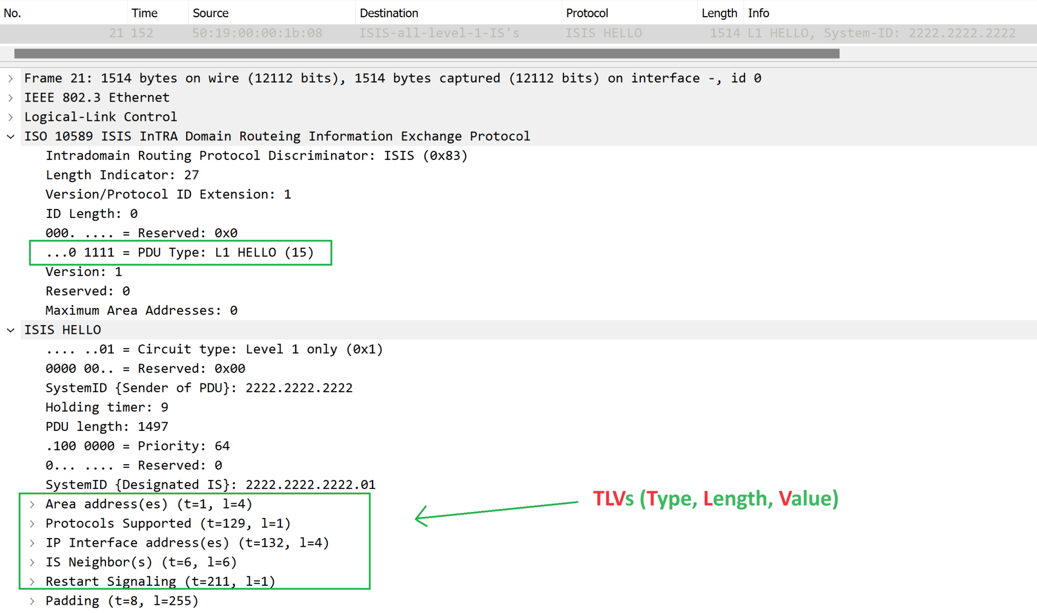 IS-IS Routing Protocol Fundamental Explained - Learn Duty