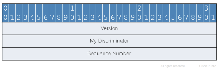 BFD - Bidirectional Forwarding Detection Explained & configuration ...