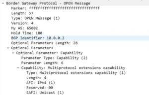 BGP Address Family, AFI/SAFI, NLRI Explained - Learn Duty