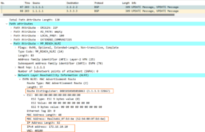 VXLAN EVPN L2 VNI, L3VNI Configuration and Troublshooting - Learn Duty