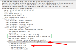 BGP Address Family, AFI/SAFI, NLRI Explained - Learn Duty